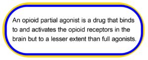 Opioid Partial Agonists | Addiction Gap