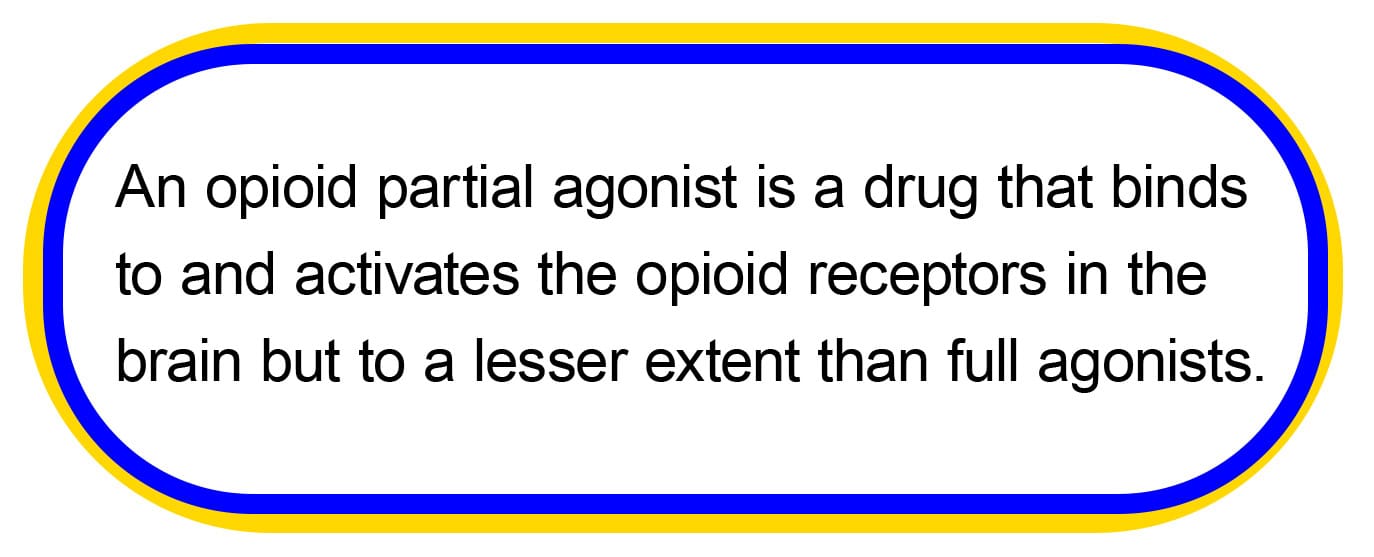 Opioid Partial Agonists | Addiction Gap